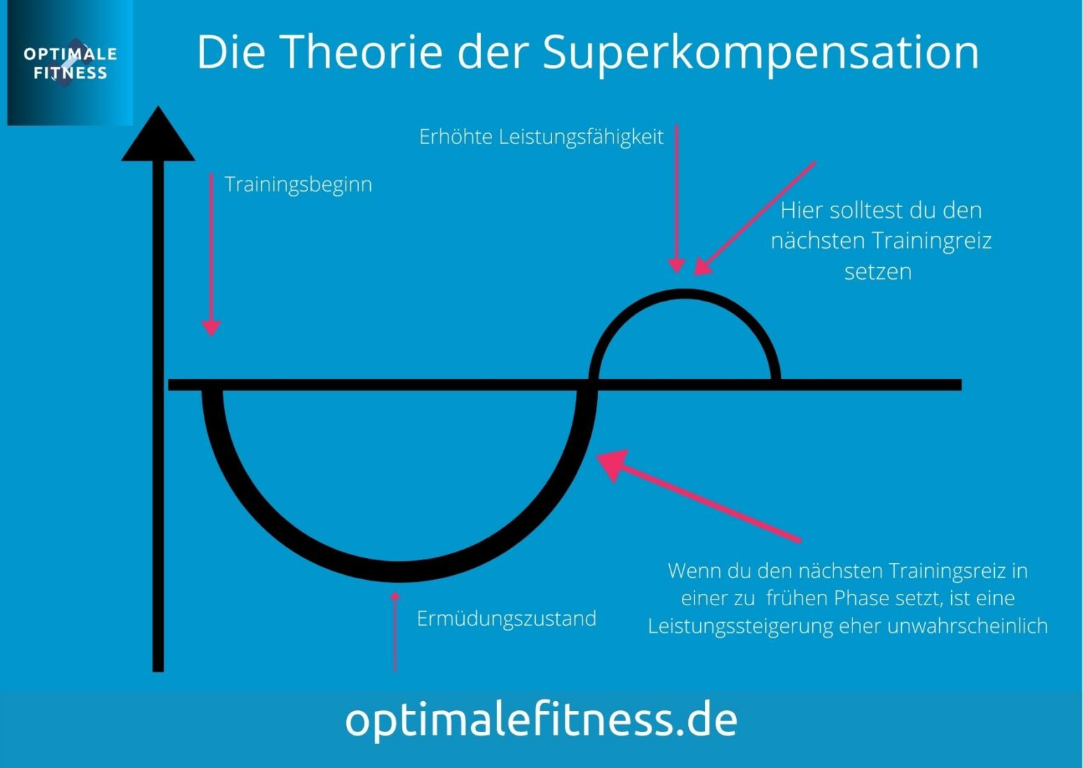Superkompensation - so funktioniert das wichtigste Trainingstool ...