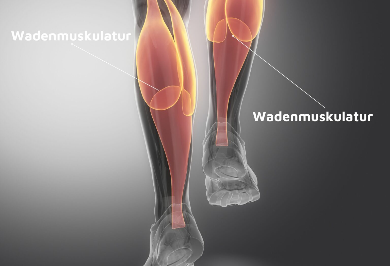 Runner's Knee - der große Ratgeber - OPTIMALEFITNESS